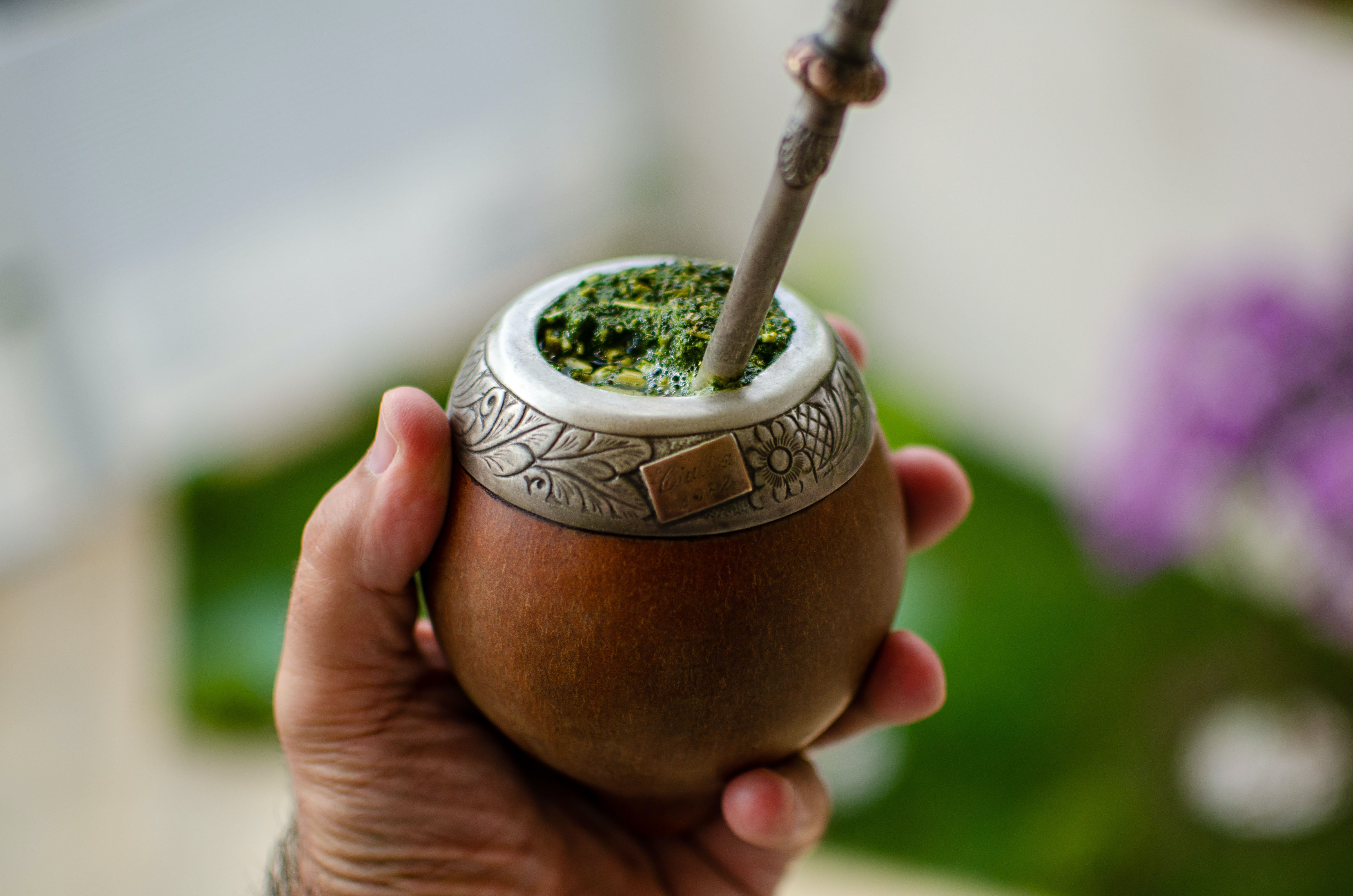 Yerba mate – jakie ma właściwości? - porady, ciekawostki